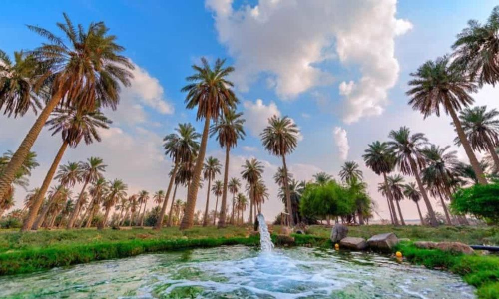 Al-Ahsa Oasis – Nature, Culture & Hidden Gems in the Arabian Desert